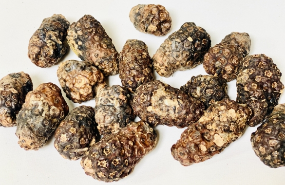 Dried Noni (Shape: whole)
